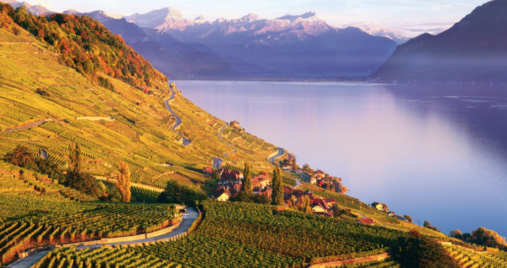 Le Dézaley, Seigneur du Chasselas – Pierre Emmanuel Fehr – Go Out!