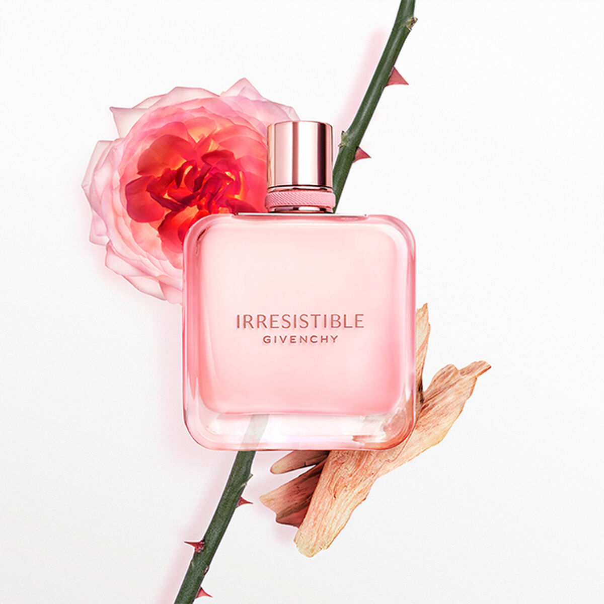 ROSE BARBIE – Ambre Oggier – Go Out!
